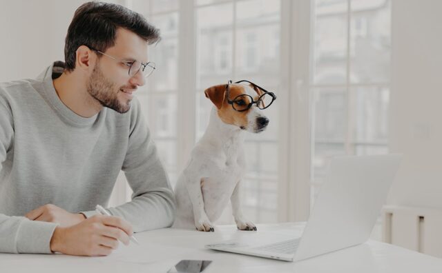 The Latest in Pet Technology: Gadgets and Apps for Pet Owners ...